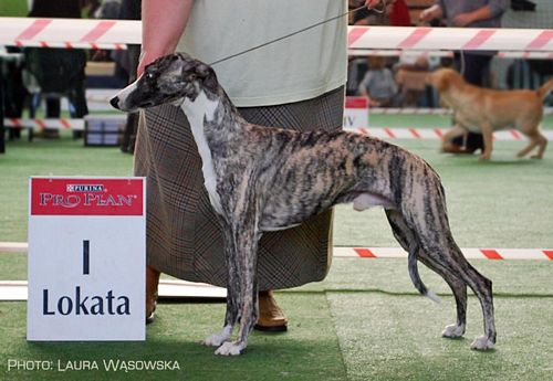 Sporting Fields MASTERPICE AT YPSYLON